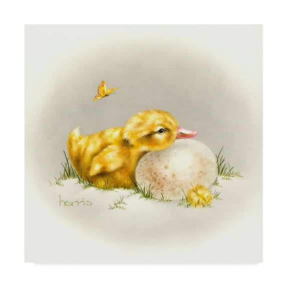 Trademark Fine Art The Promise Canvas Art - 24 x 32 Dimensions ...