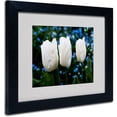 Trademark Fine Art "Three Parrot Tulips" by Kurt Shaffer, Black Frame ...