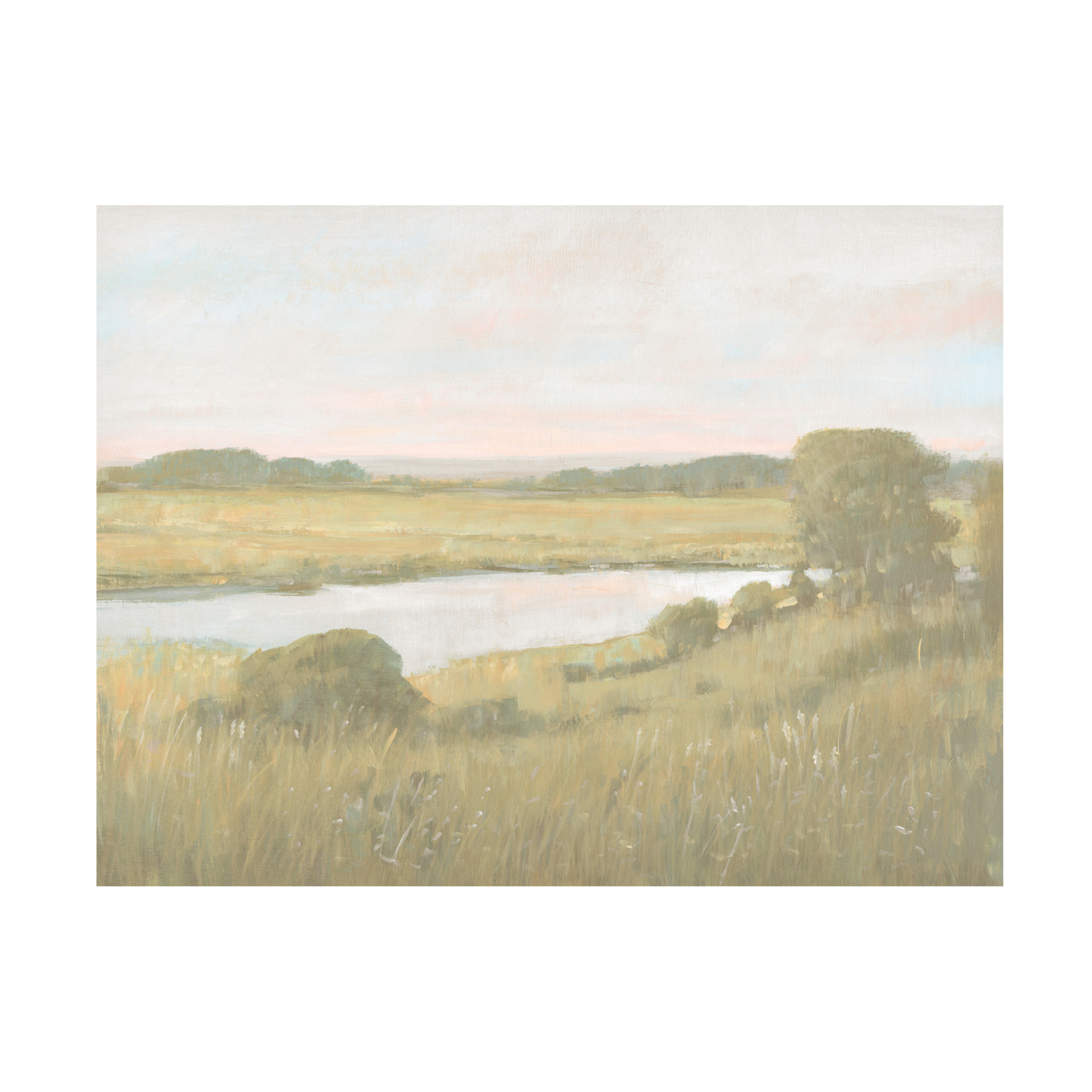 Trademark Fine Art Tim OToole Marsh Horizon at Dawn II Canvas Wall Art ...