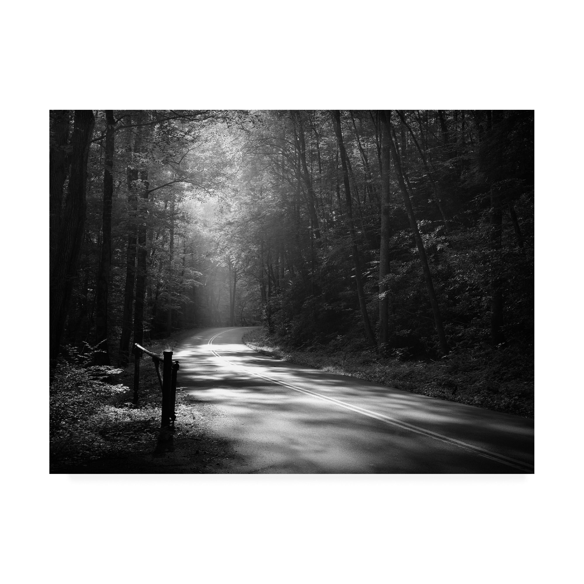 Trademark Fine Art 'Tremont Road, Smoky Mountains' Canvas Art by ...