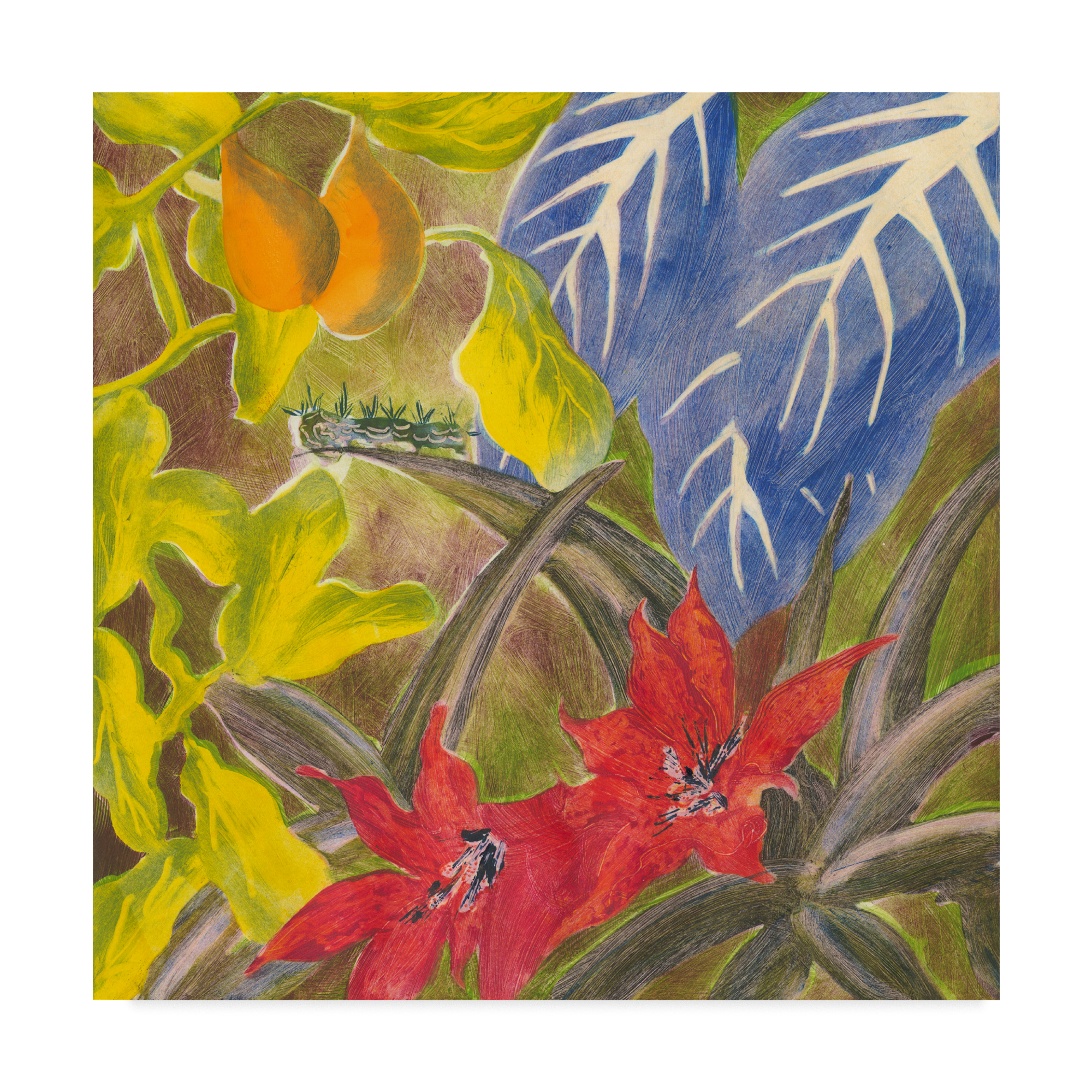 Trademark Fine Art Tropical Monotype I Floral Canvas Art by Carolyn ...