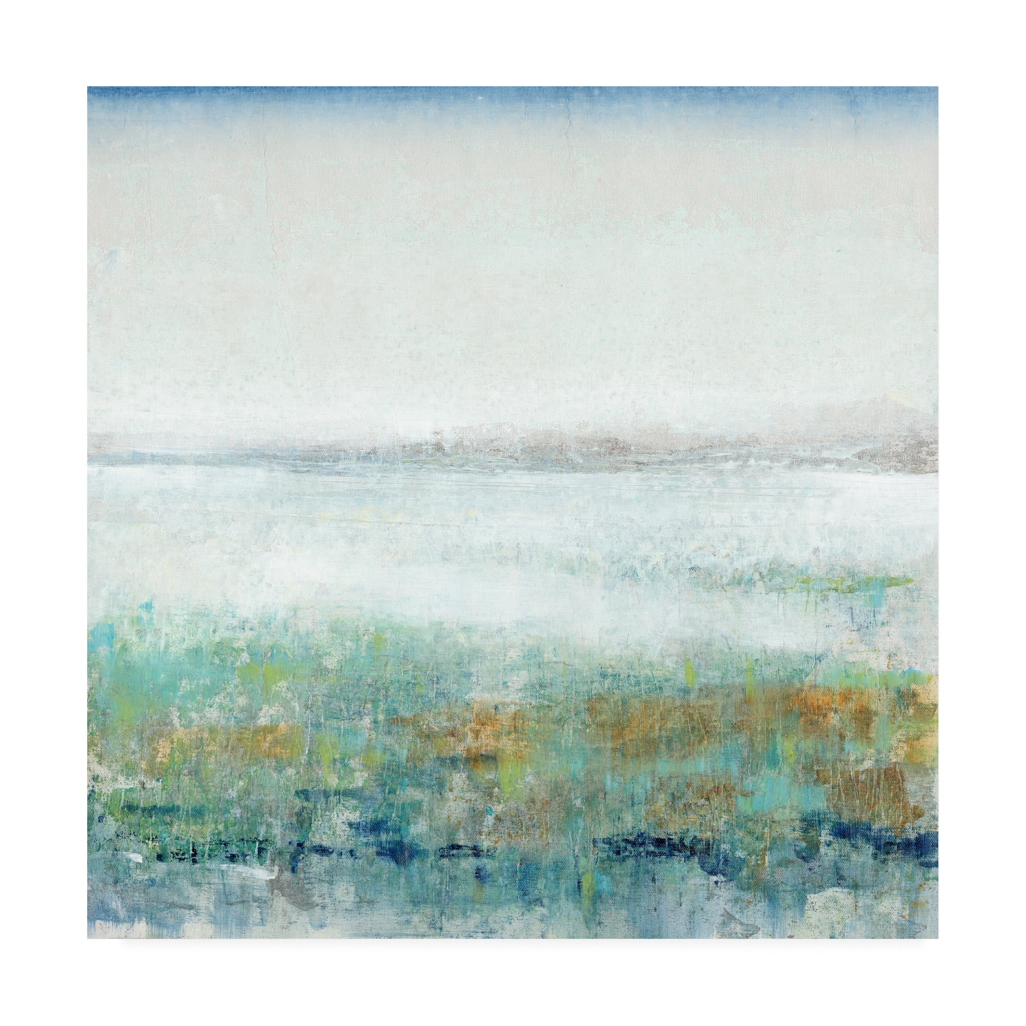 Trademark Fine Art 'Turquoise Mist II' Canvas Art by Tim OToole ...