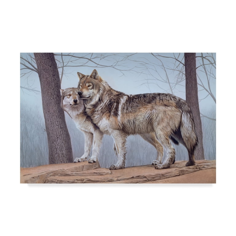 Two Wolves Together Drawing Koop Two Wolves Van Jan Weenink Voor