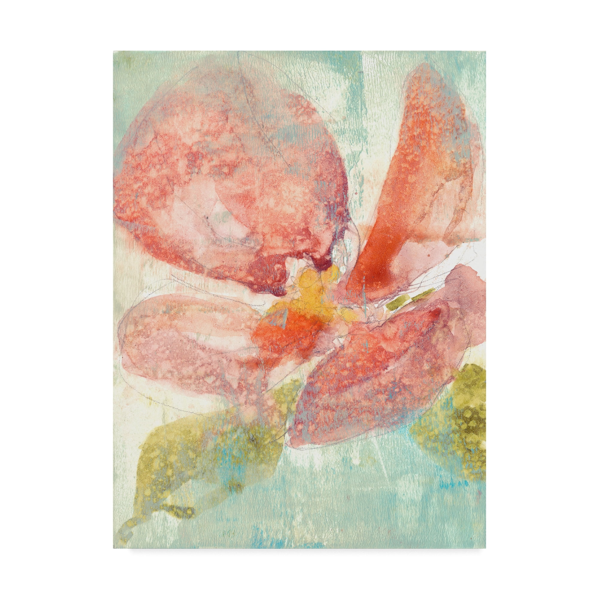 Trademark Fine Art 'Veiled Poppy II' Canvas Art by Jennifer Goldberger ...