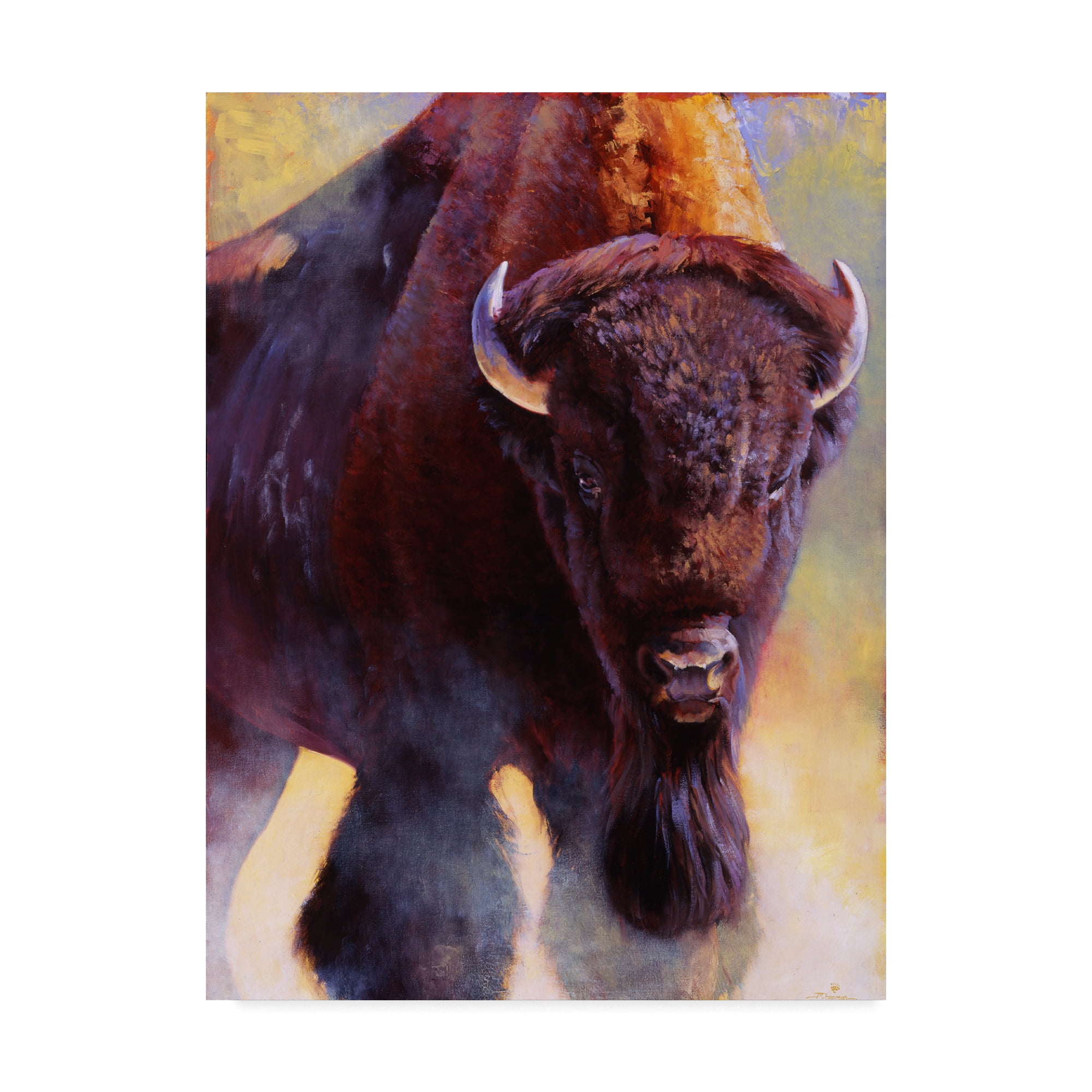 Trademark Fine Art Warrior Buffalo Canvas Art by Julie T. Chapman ...