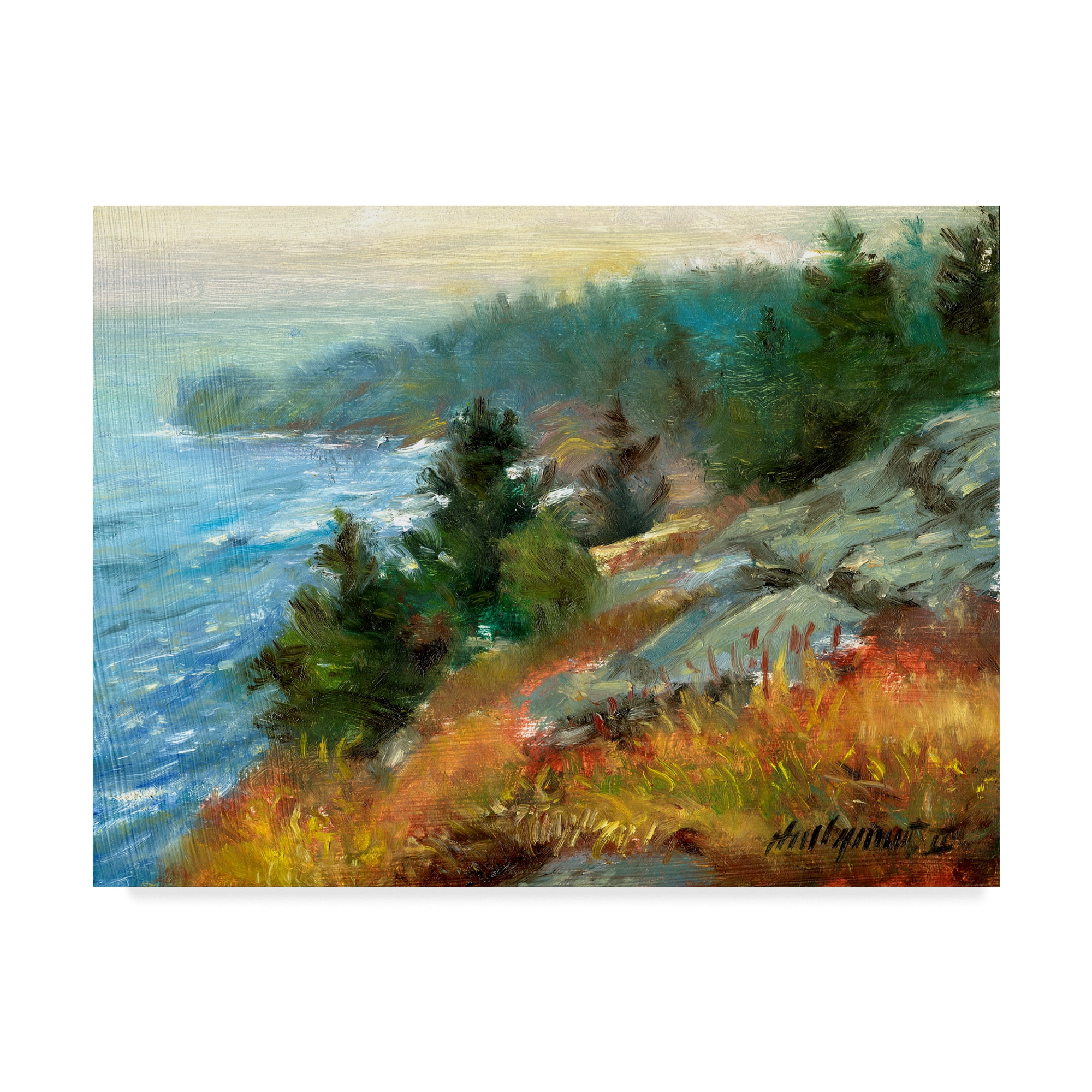 Free Shipping! Trademark Fine Art White Head Monhegan Island Canvas ...