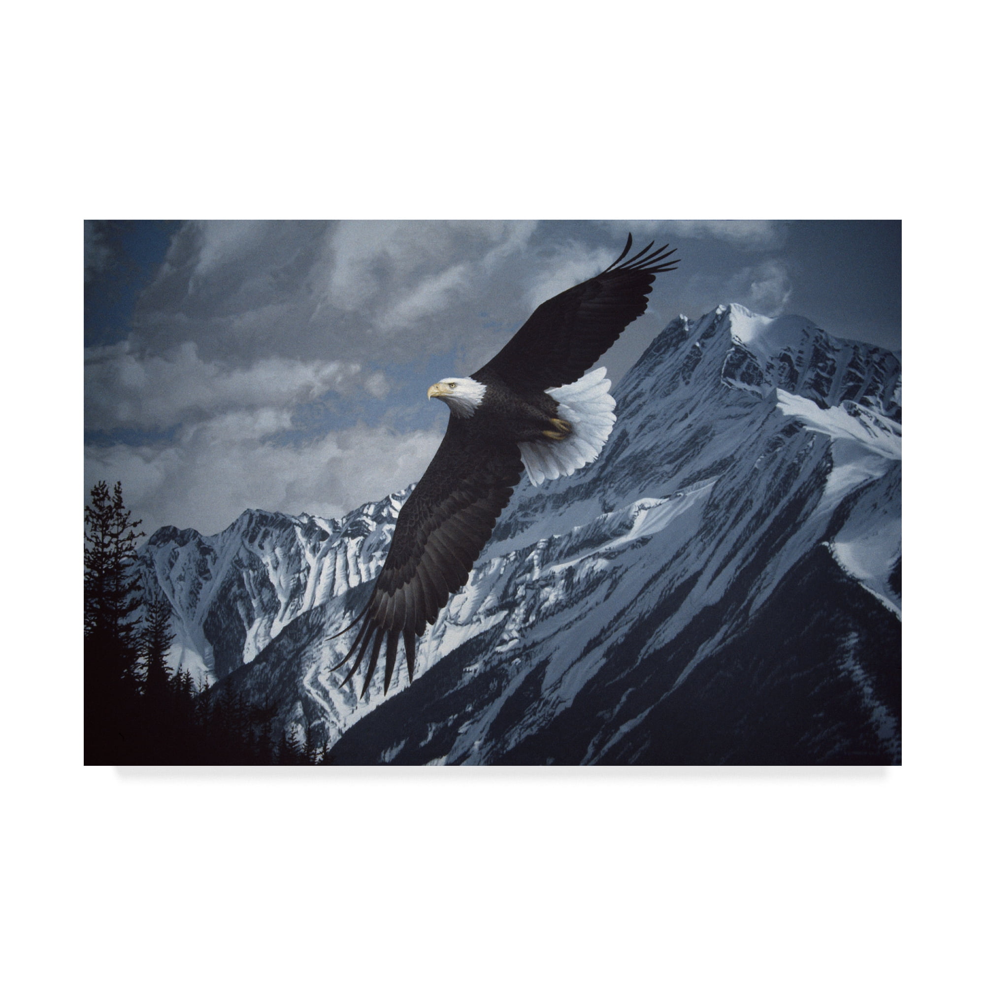 Trademark Fine Art 'Wings Over Winter' Canvas Art by Ron Parker ...
