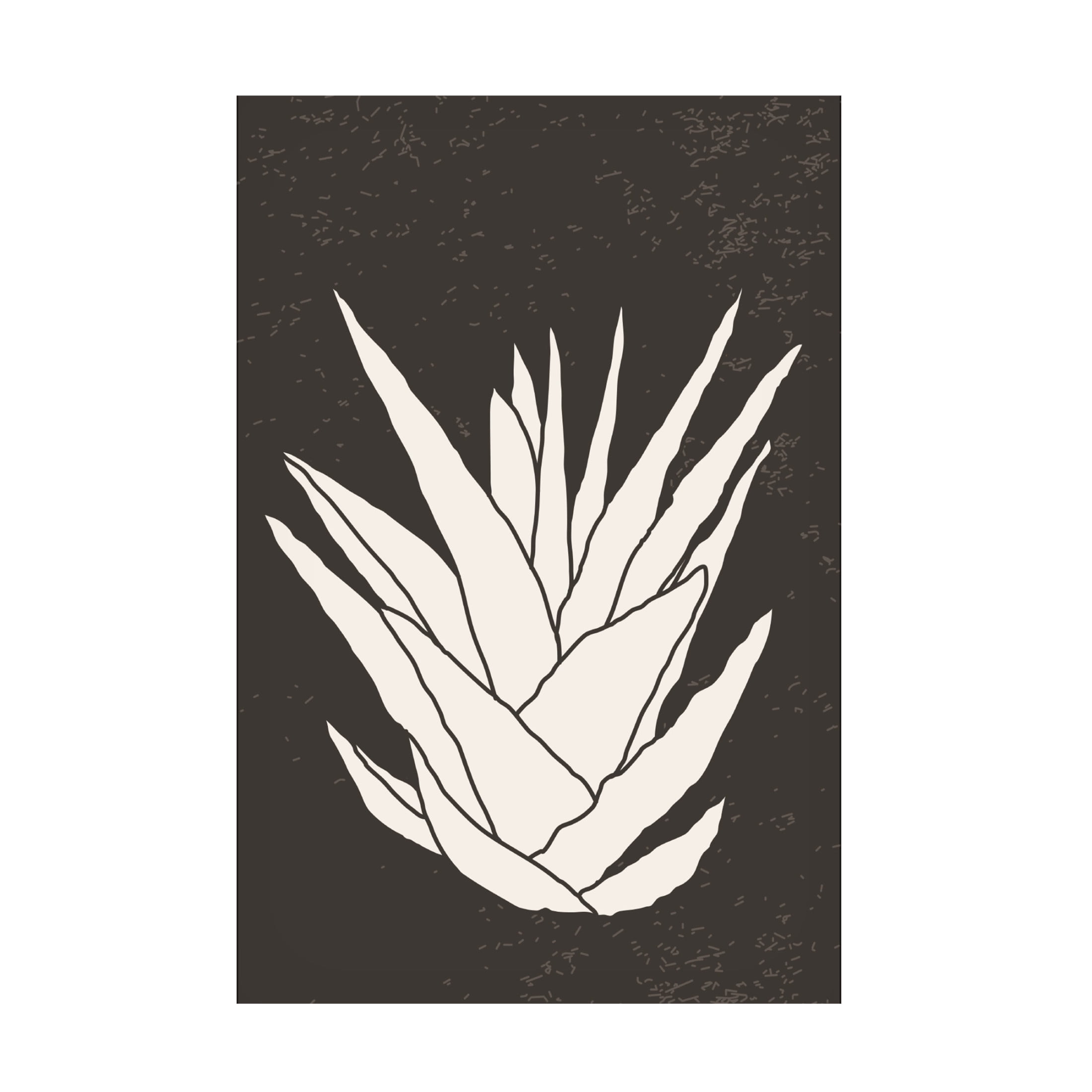 Trademark Fine Art jay stanley Agave 2 Canvas Wall Art - Walmart.com