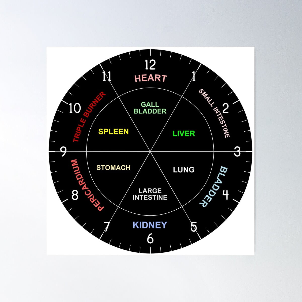 Traditional Chinese Medicine Organ Clock - Tcm East Asian Oriental Body ...