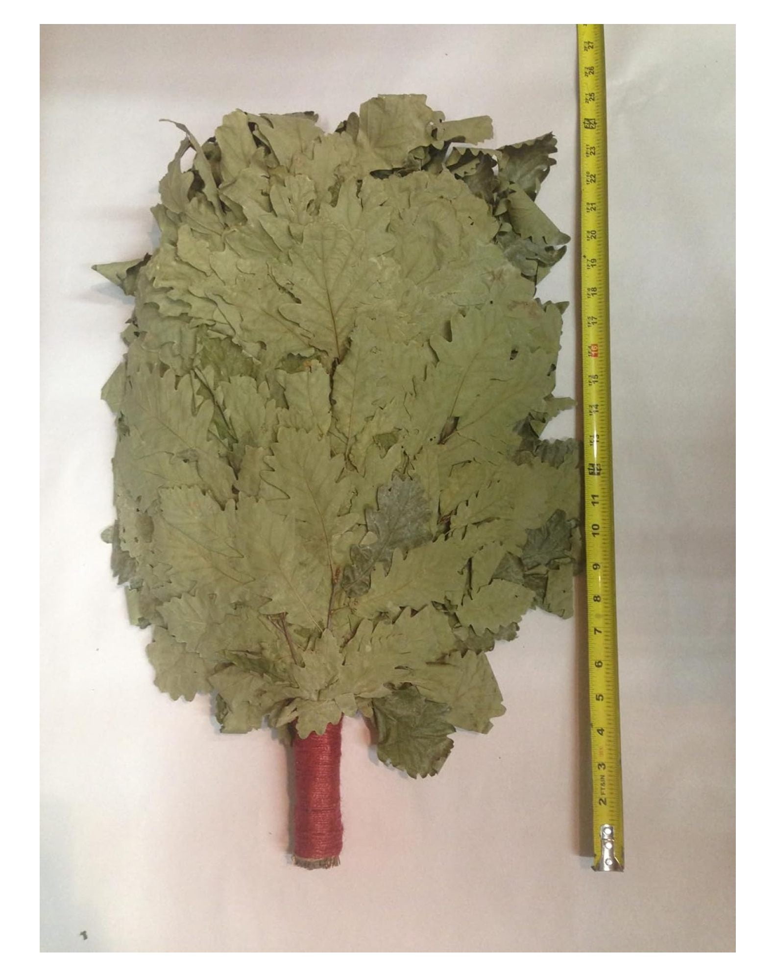 Traditional Professional Russian Caucasian Oak Whisk Venik Broom Bath for Sauna Banya Wenik ...