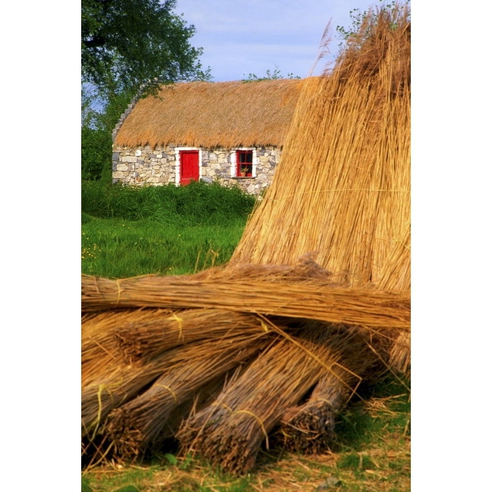 Traditional Thatching Ireland Poster Print - Walmart.com