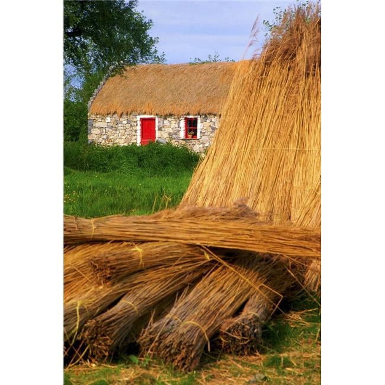 Traditional Thatching Ireland Poster Print - Walmart.com
