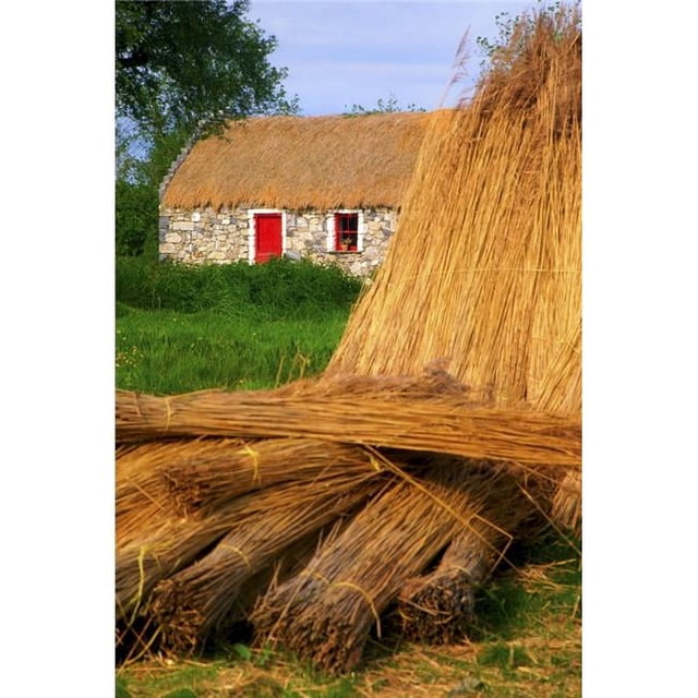 Traditional Thatching Ireland Poster Print - Walmart Business Supplies