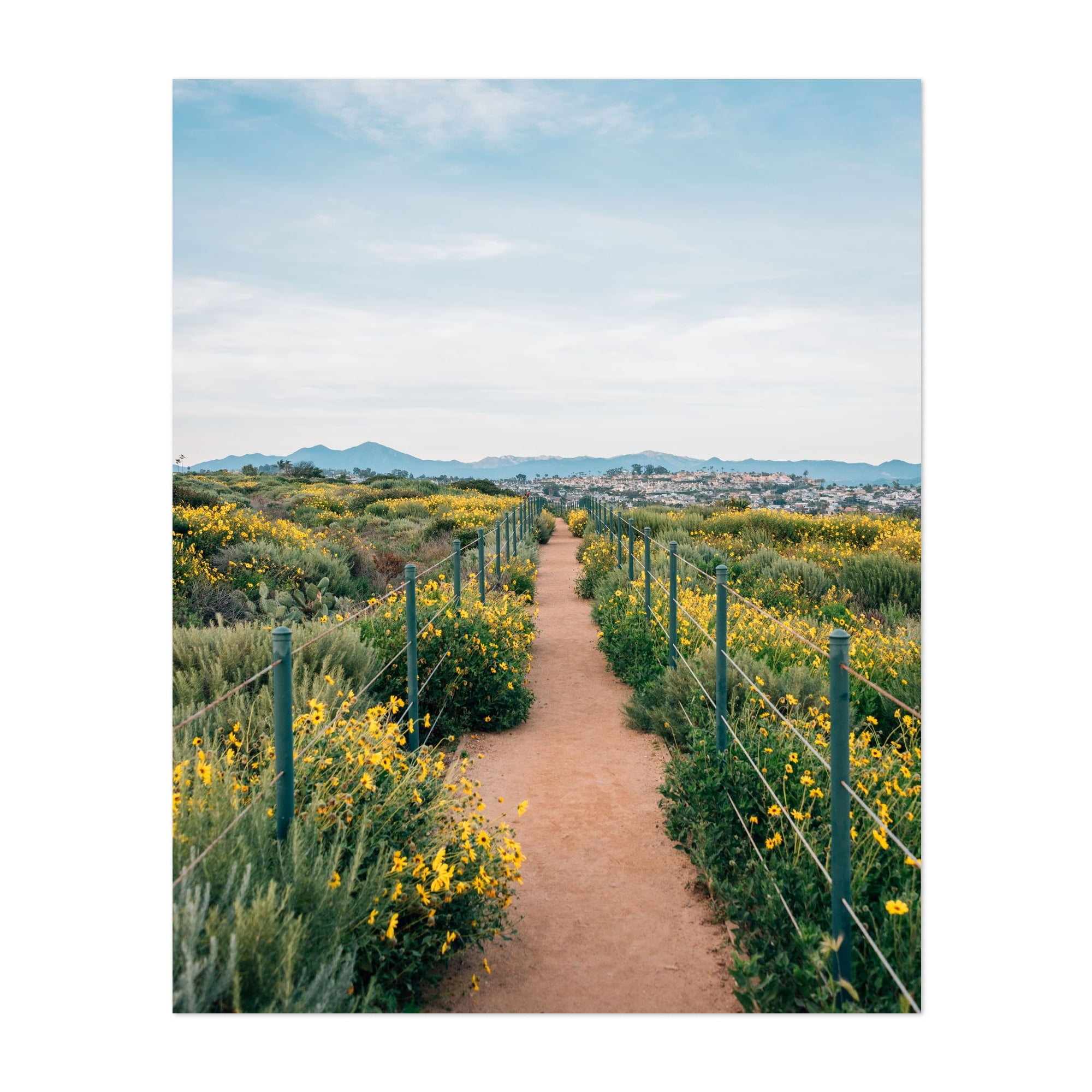 Trail at Hilltop Park, Dana Point - Dana Point California Photography ...