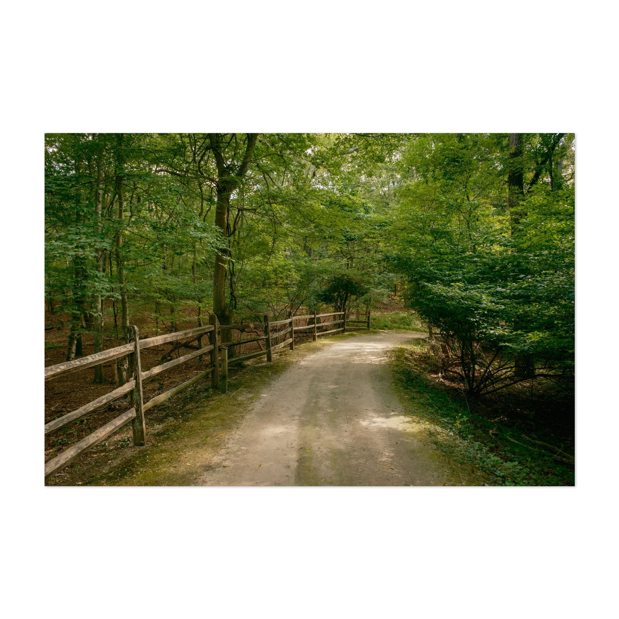 Trail at Hoyt Farm Nature Preserve, Commack 01 - Commack New York ...