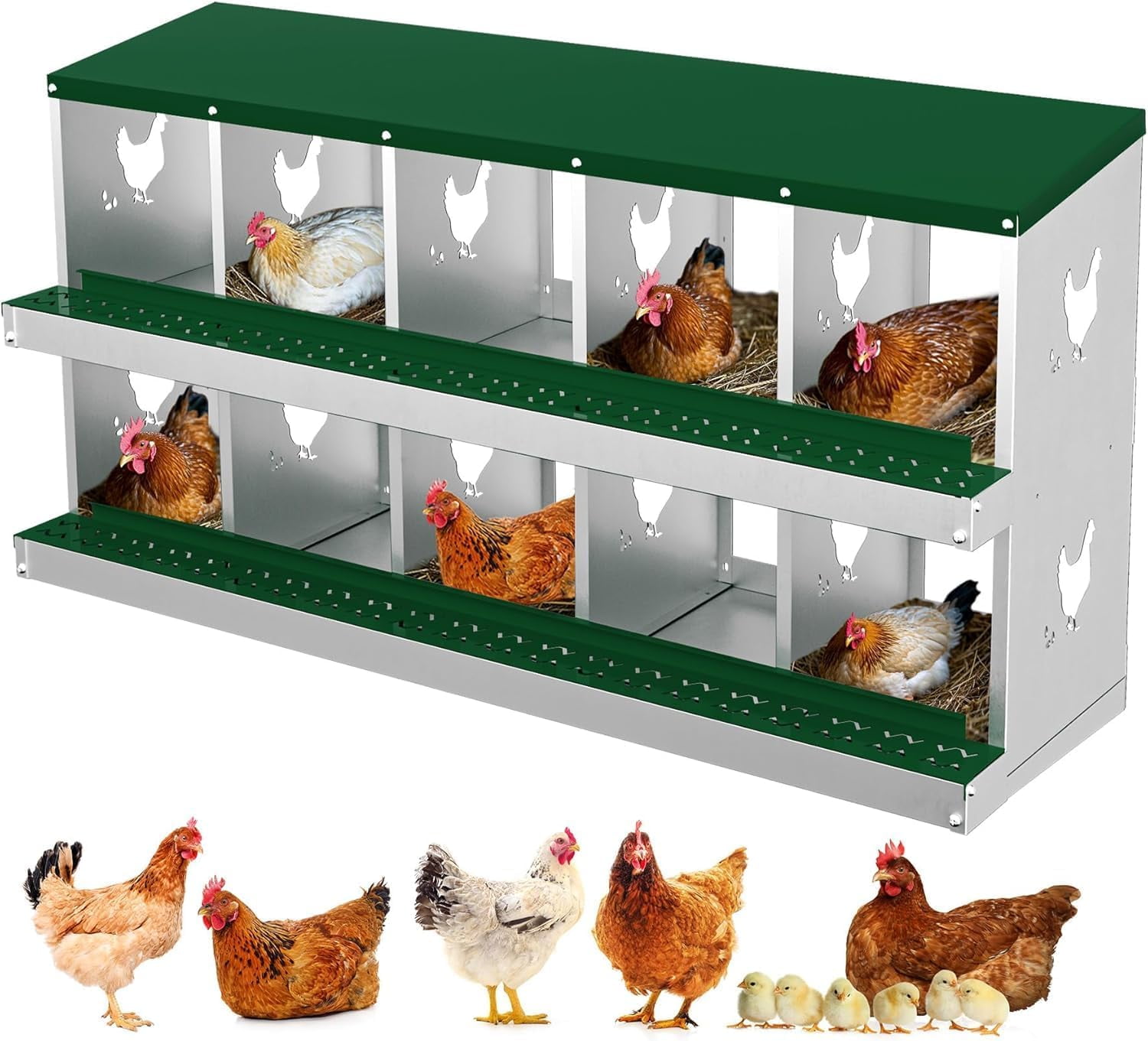 TrailBlaze Metal Chicken Nesting Boxes, Chicken Egg Laying Box with 10 ...