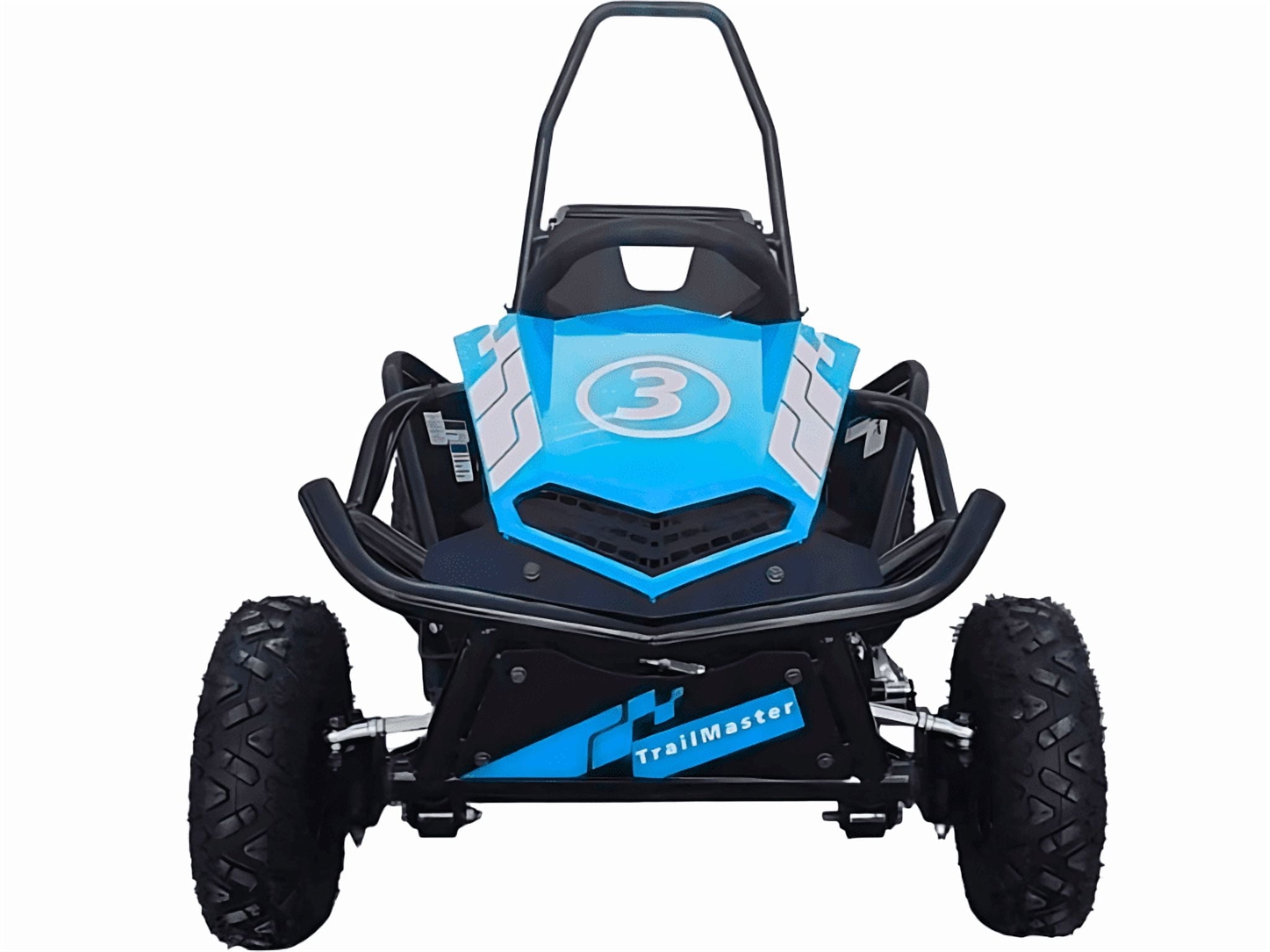 TrailMaster Cheetah 3 Youth Go Kart, 80cc Engine, Max Speed 21 MPH ...