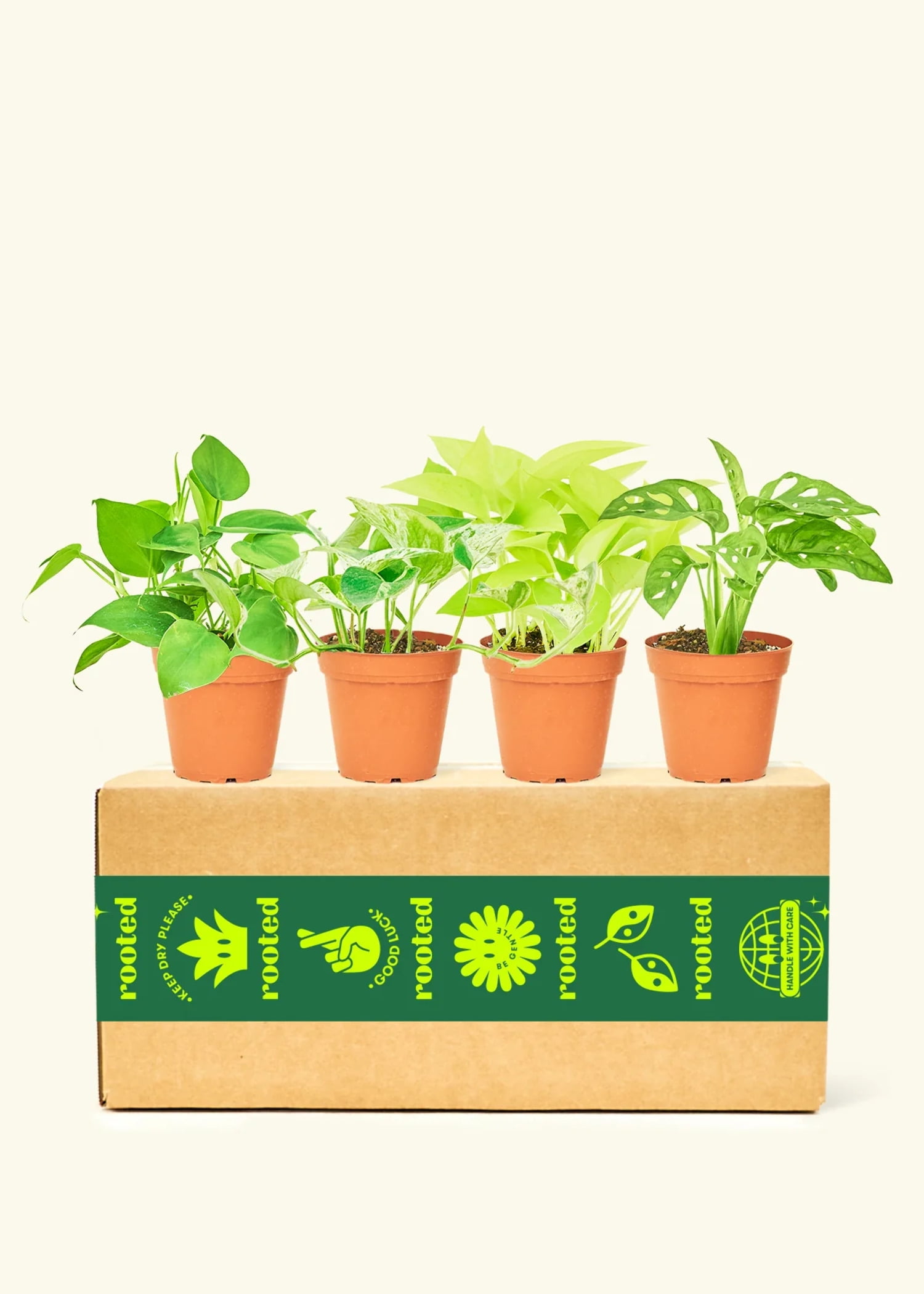 Trailing Plant Box - Walmart.com