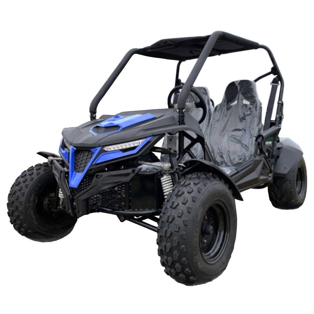 Trailmaster Cheetah 200 Go kart ,Upgraded rear end, high back seats ...
