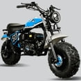 Trailmaster Hurricane 200 Pro Mini Bike, 196cc 4-Stroke Engine ...