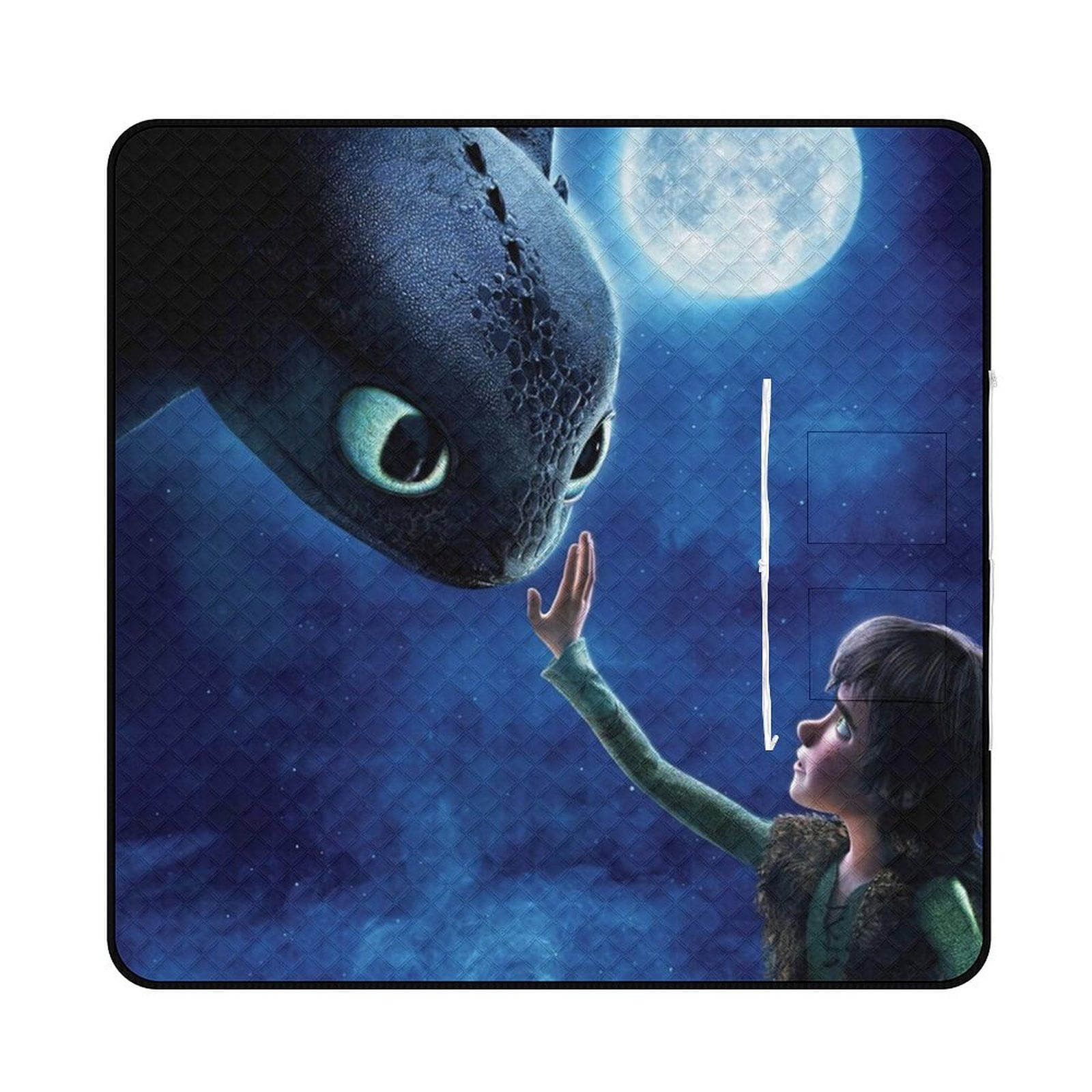 How to Train Your Dragon Hiccup Toothless Picnic Mat Foldable Portable ...