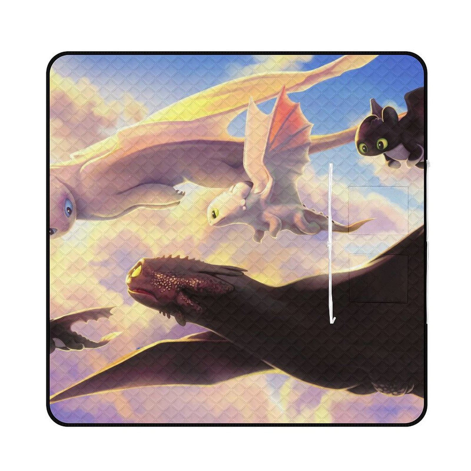 How to Train Your Dragon Toothless Lightfury Picnic Mat Foldable ...