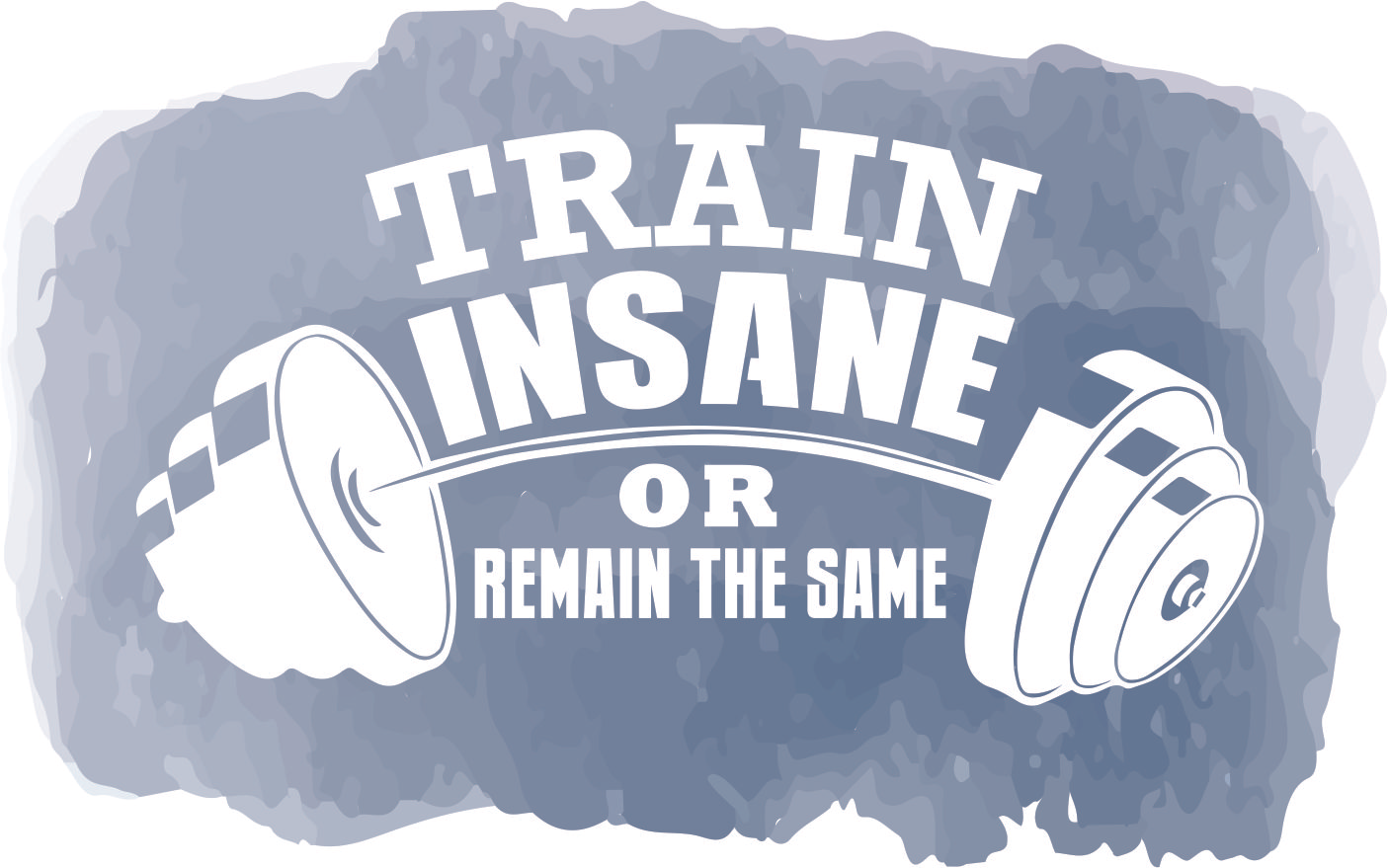 Train Insane Or Remain The Same Gym Fitness Exercise Motivation Lifting ...