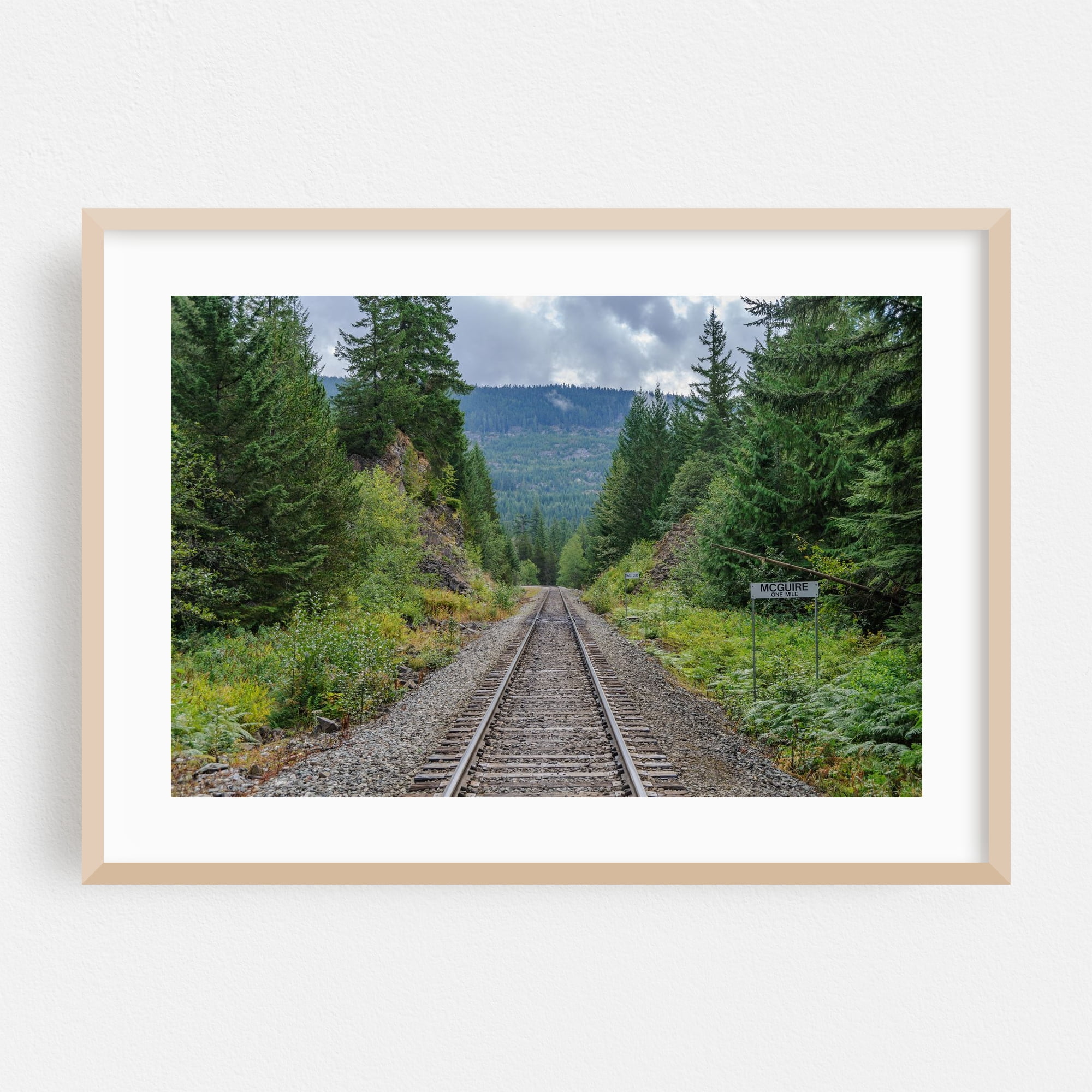 Train to Mc Guire - Chilliwack British Columbia Canada Photography ...