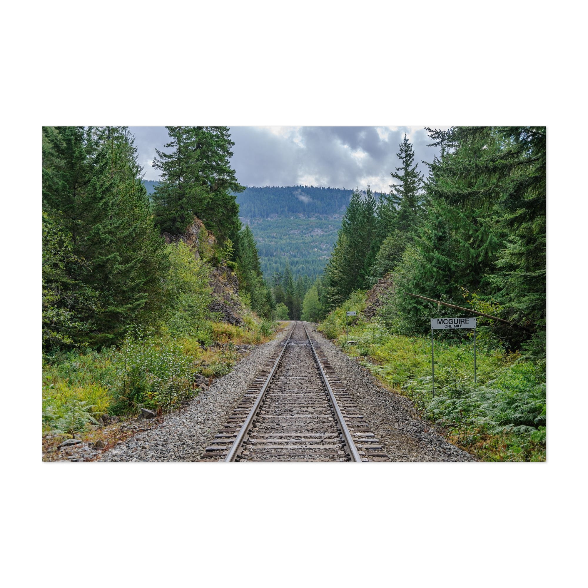 Train to Mc Guire - Chilliwack British Columbia Canada Photography ...