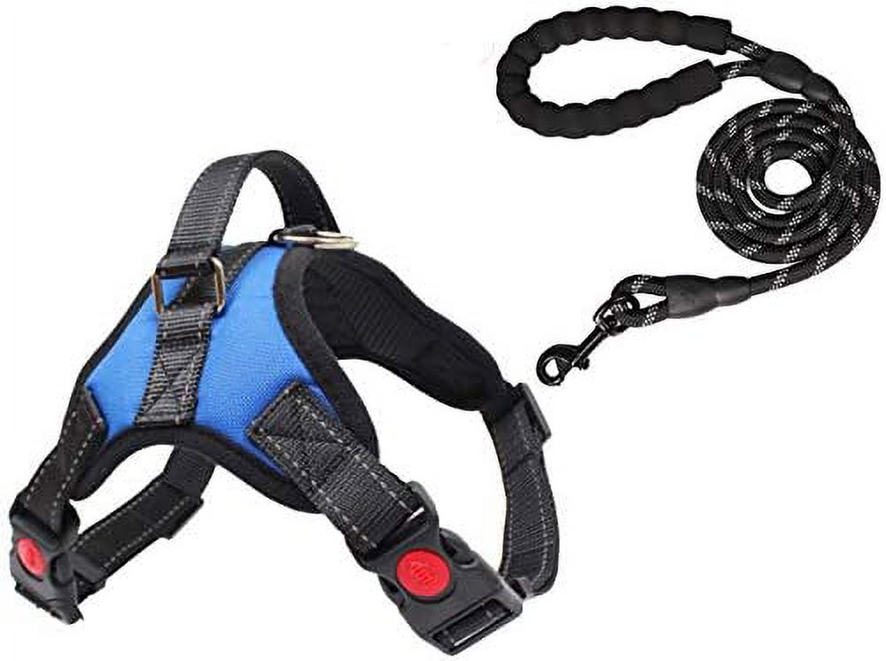TrainPro No-Pull Dog Collar Harness and Leash Training Set for Easy ...