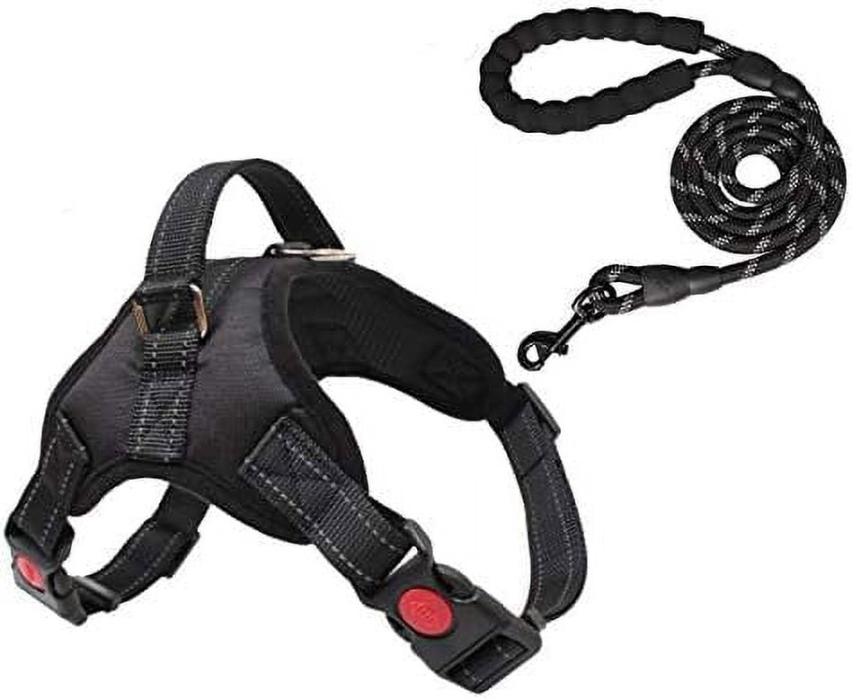 TrainPro No-Pull Dog Collar Harness and Leash Training Set for Easy ...