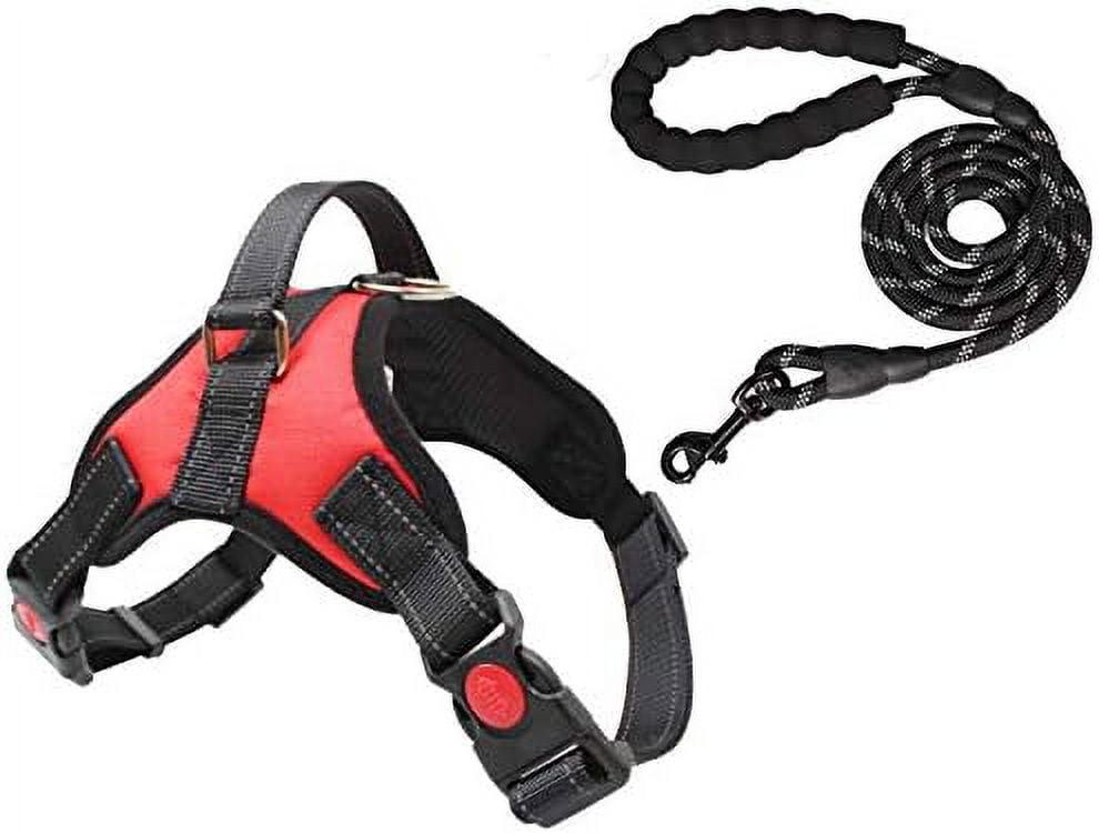 TrainPro No-Pull Dog Collar Harness and Leash Training Set for Easy ...
