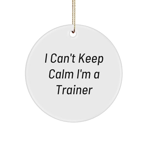 Trainer I Can't Keep Calm I'm A Trainer Circle Ornament Gift from Friends for Trainer - Walmart.com