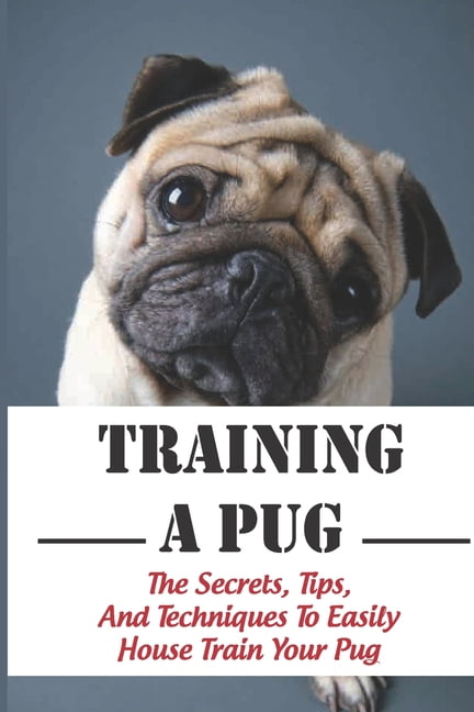 Training A Pug: The Secrets, Tips, And Techniques To Easily House Train ...