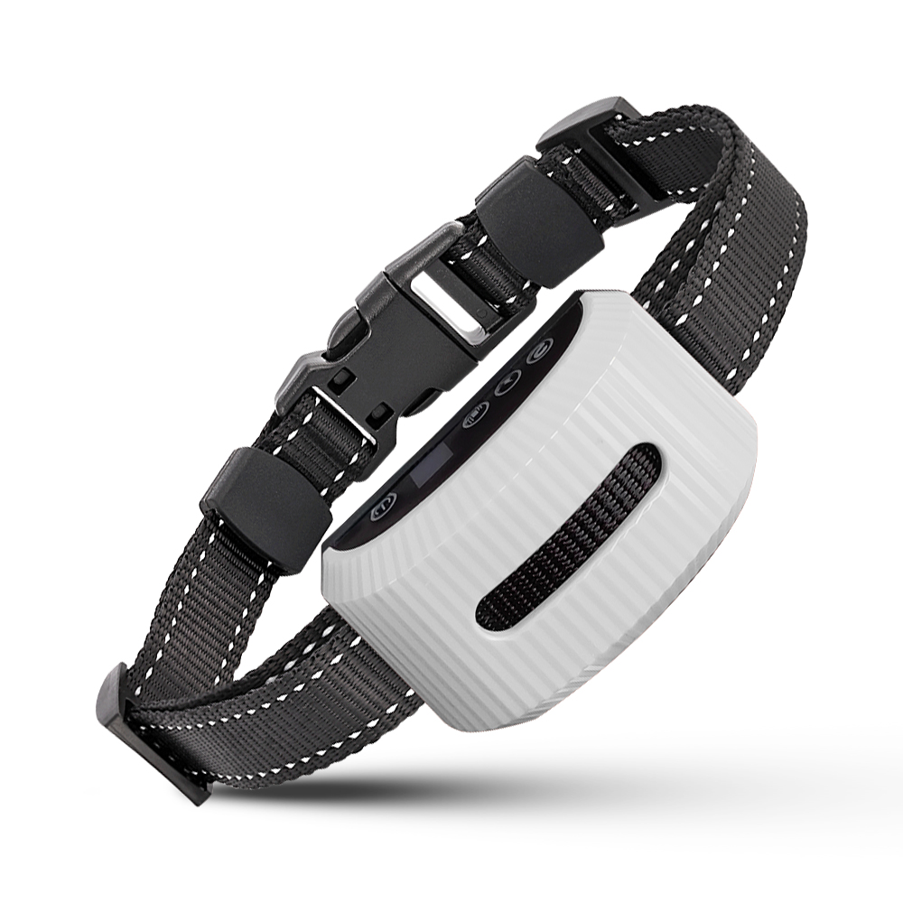 Training Collar with 3 Training Modes,Rechargeable Waterproof Electric ...