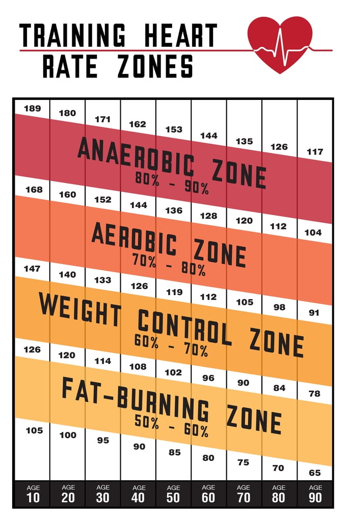 Fitness Heart Rate Chart Variability Training Zones Exercise Poster ...