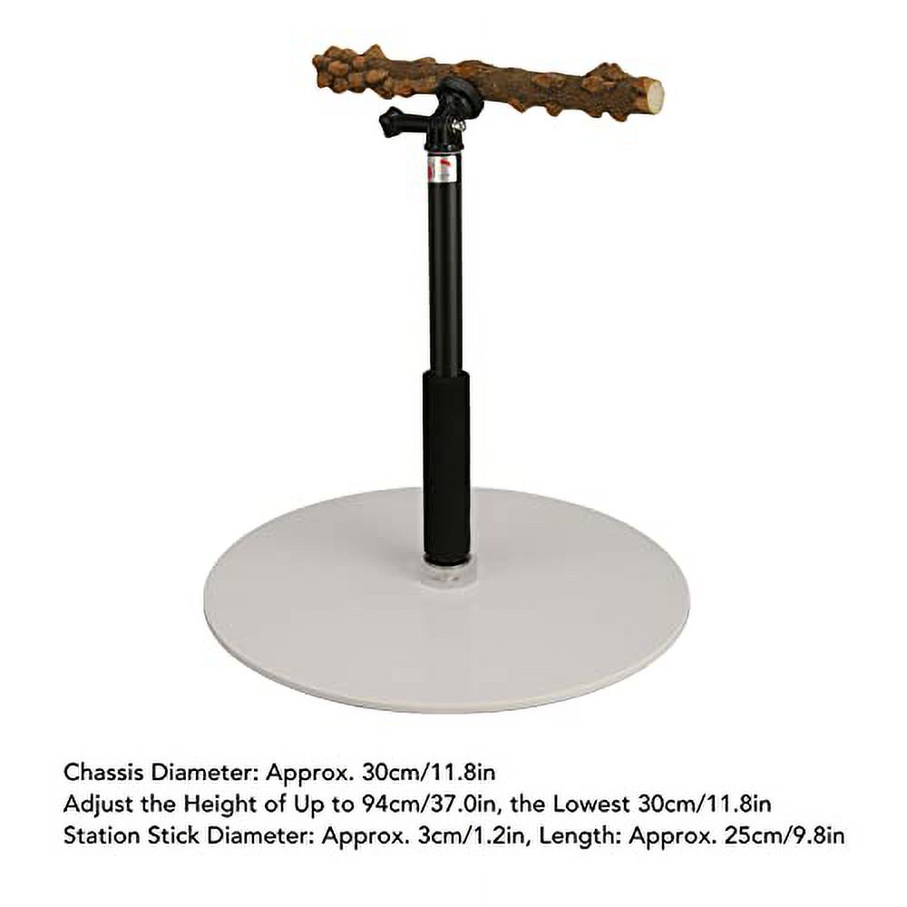 Training Perch Stand, Outdoor Detachable Bird Standing Perch with ...