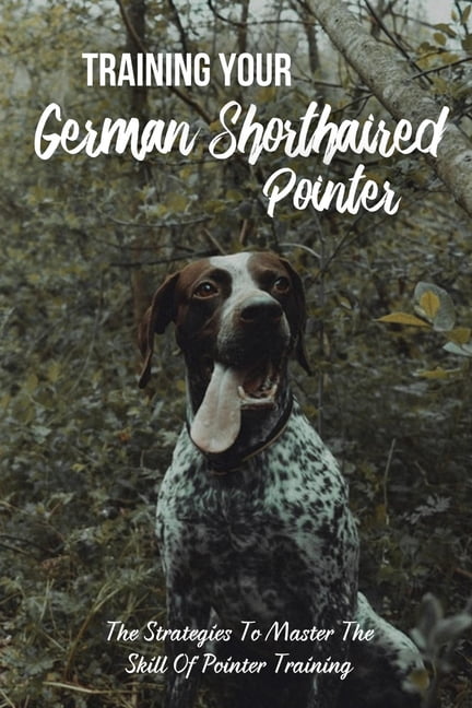 Training Your German Shorthaired Pointer: The Strategies To Master The ...