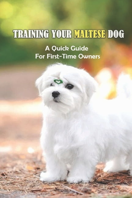 Training Your Maltese Dog: A Quick Guide For First-Time Owners: Maltese ...