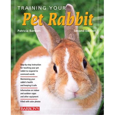 Pet Friendly: Dwarf & Mini Rabbits. (Paperback) - Walmart.com