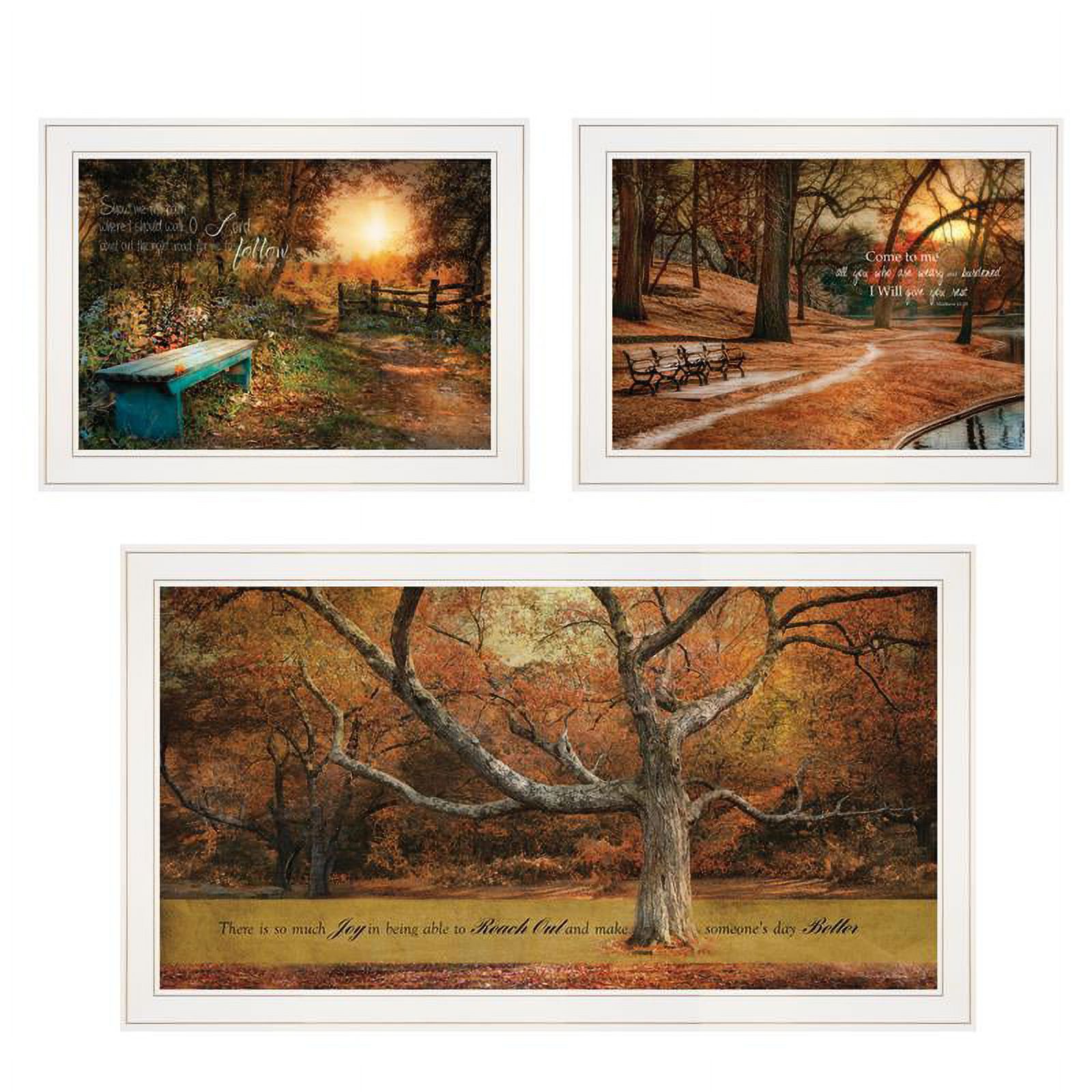 Tranquil Spaces 3Piece Vignette by RobinLee Vieira Wood Multi-Color ...