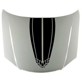 Firebird Trans Am Large Wall Emblem Rising Phoenix Hood Bird 18" x 15. ...