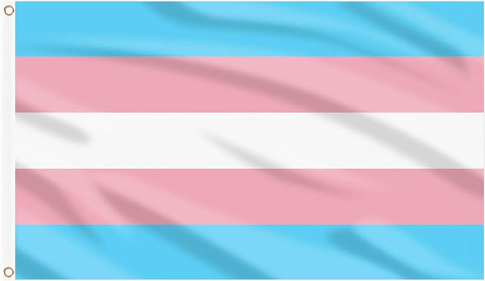 Trans Flag Trans Pride Flag 3x5 Ft, Large Pride Flags Transgender Flags ...