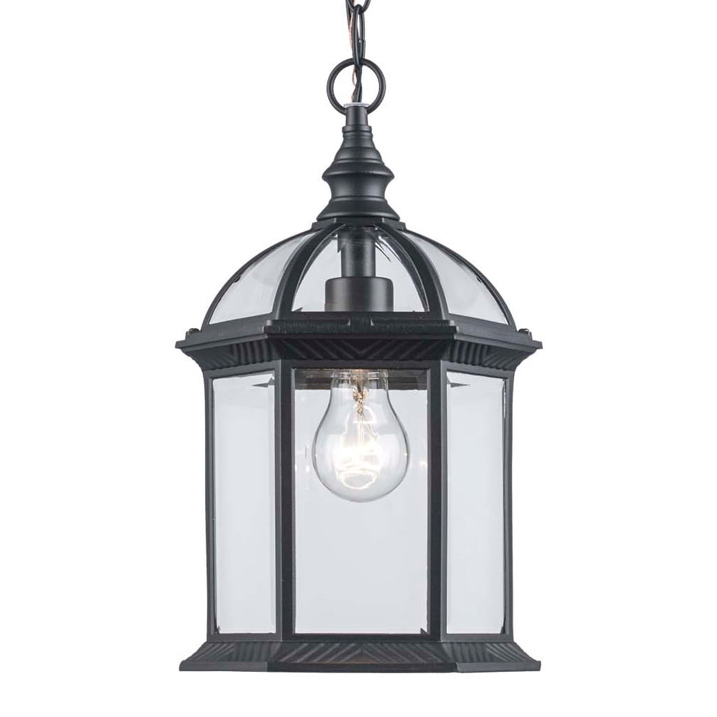Trans Globe Lighting 4183 Botanica 1 Light Outdoor Small Single Pendant ...