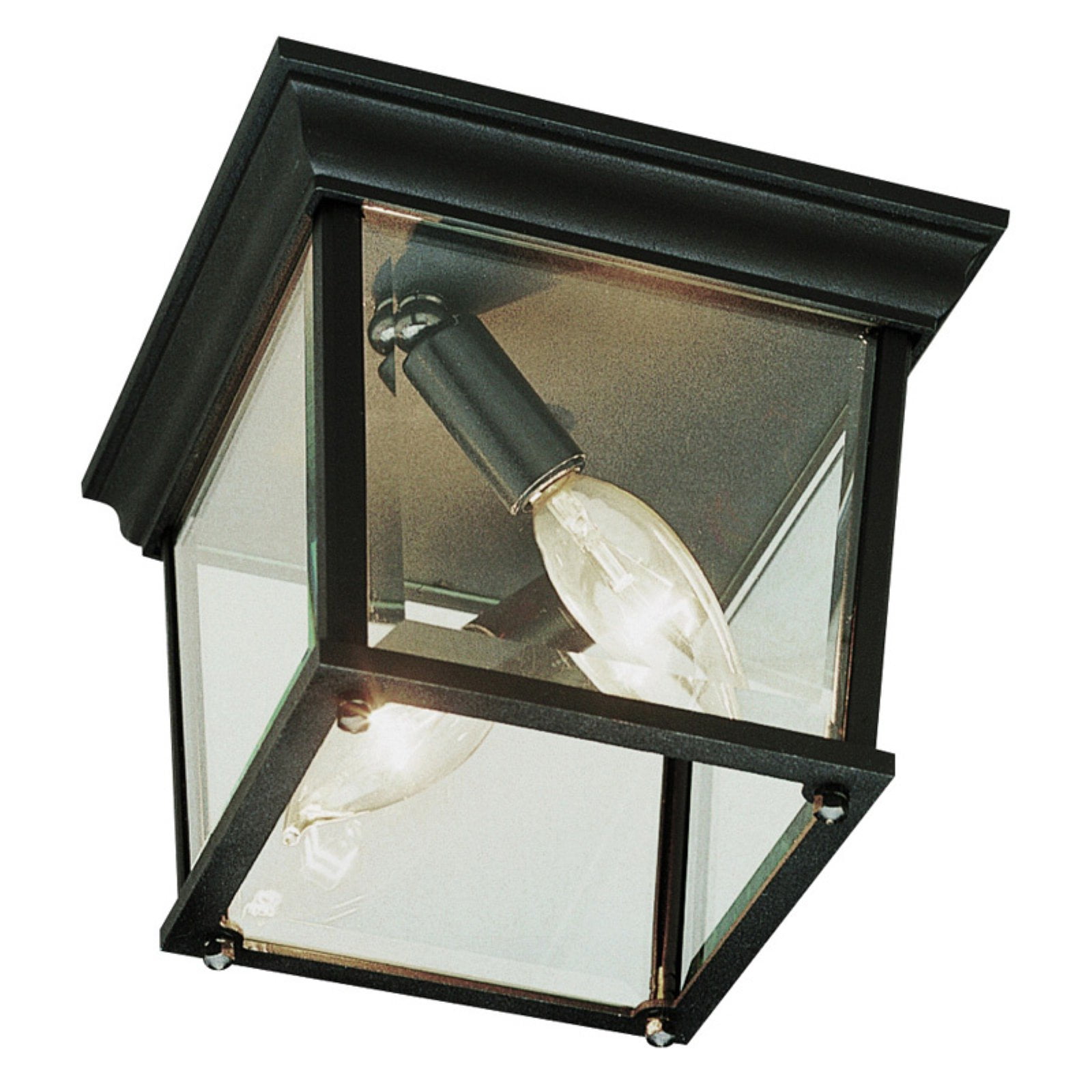 Trans Globe Lighting 4905 Two Light Down Lighting Outdoor Square Flush ...