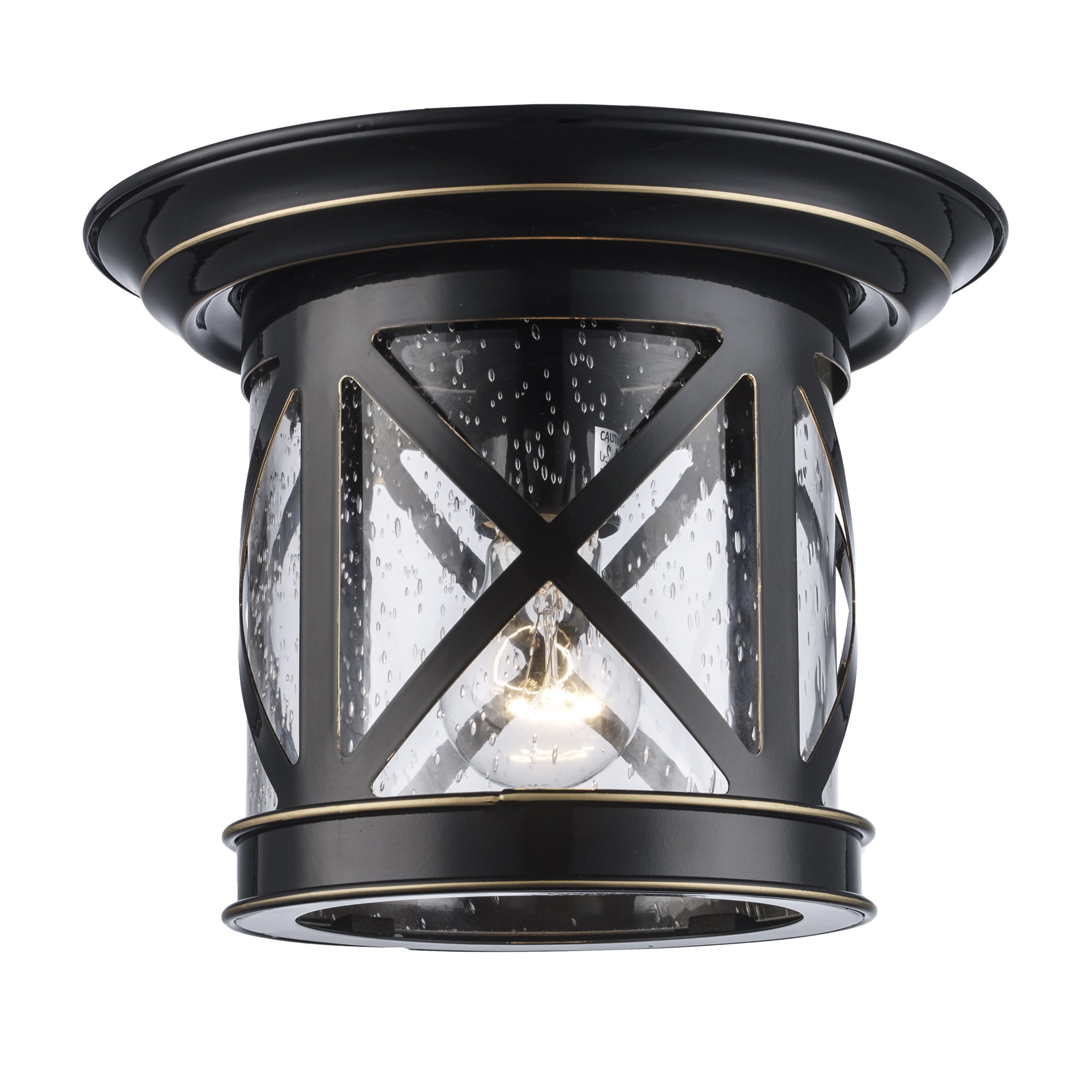 Trans Globe Lighting 5128 Chandler 1 Light 10" Wide Outdoor Flush Mount ...