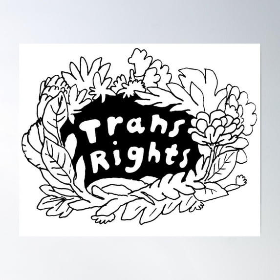 Trans Rights Poster Wall Art, Modern Wall Decor For Living Room Bedroom ...