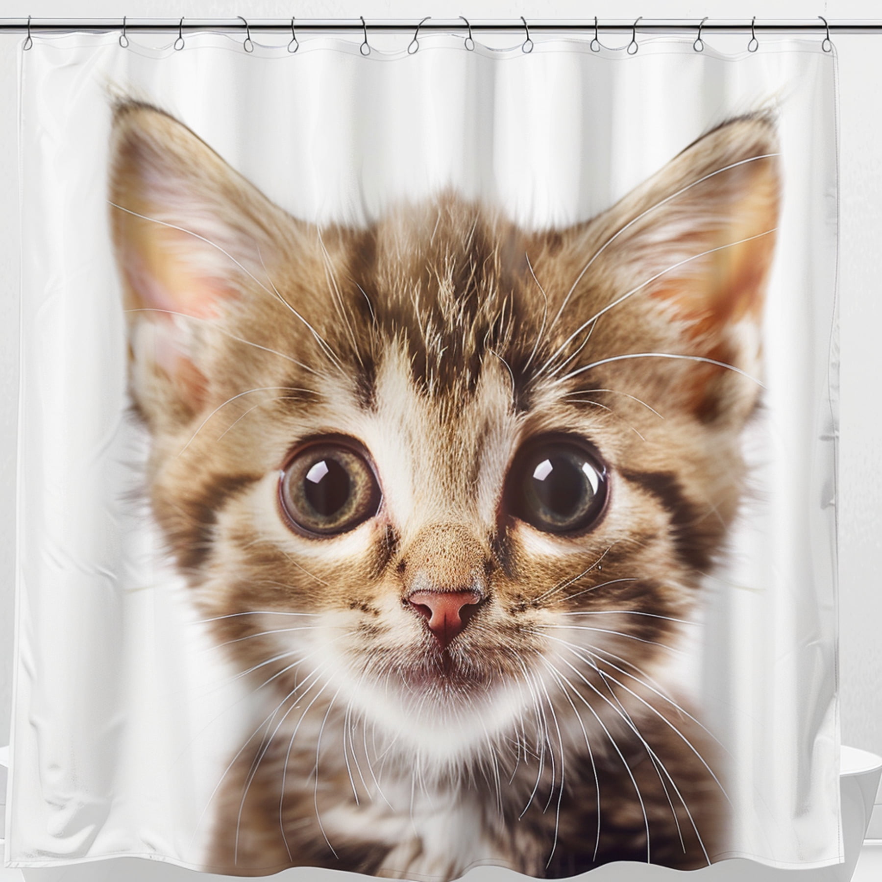 Transform Your Bathroom With Adorable Kitten Magic Get Your Paws On