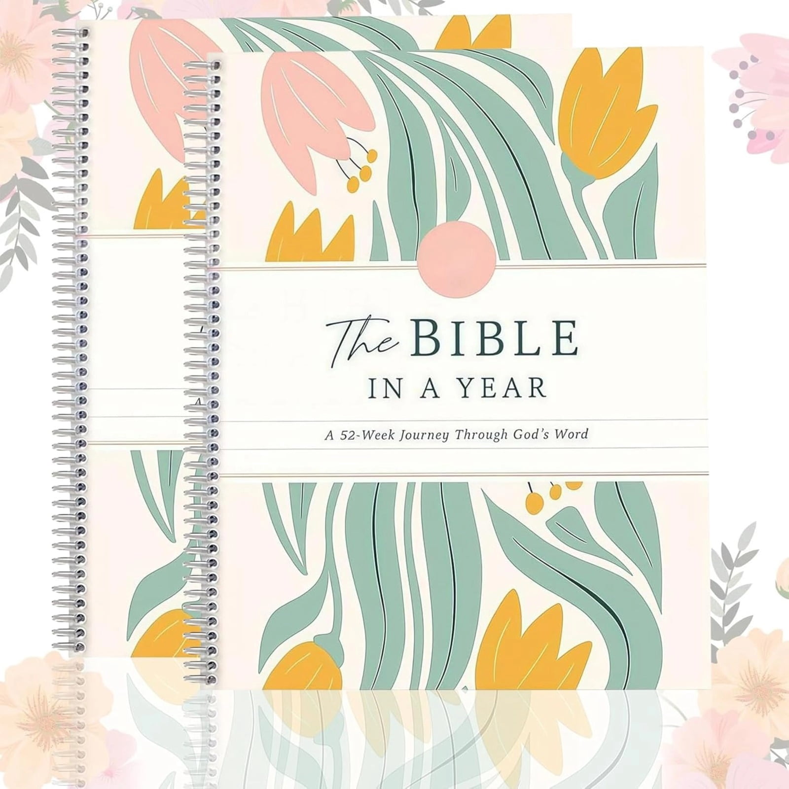 Transformative Bible Study for Women: The Bible in A Year with 52 ...