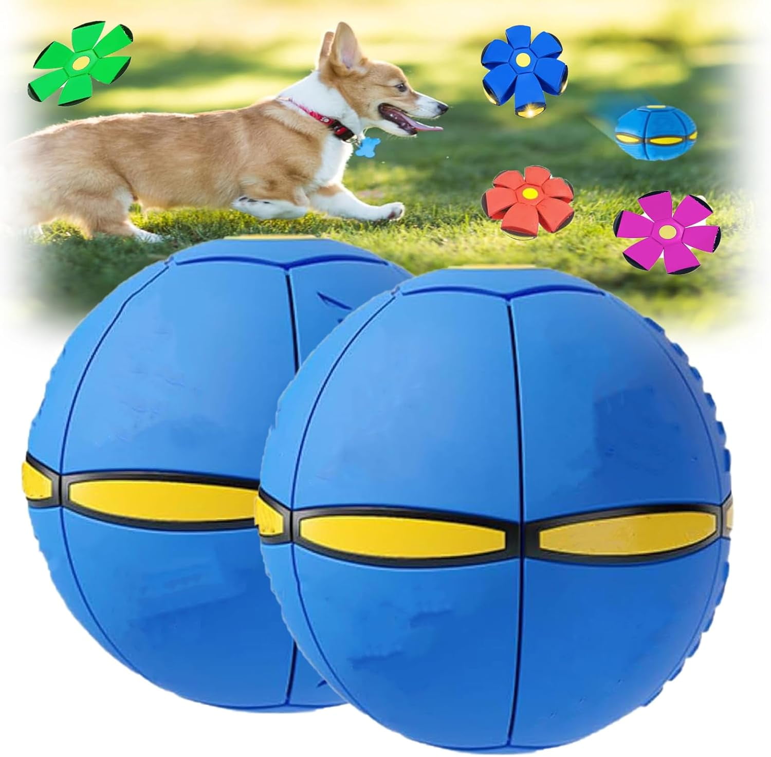 Transforming Saucer-Ball Toy, Lettuce Pets Doggy Disc Ball, Interactive ...